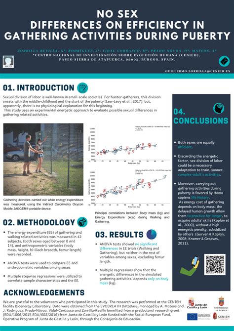 Pdf No Sex Differences On Efficiency In Gathering Activities During
