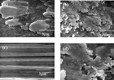 Sem Micrographs Of Tested Surfaces Unmodified Download Scientific Diagram