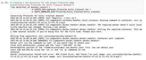 Docker Instantiation Failed With Error When Using Detectnetv2 Datasetconvert Tao Toolkit