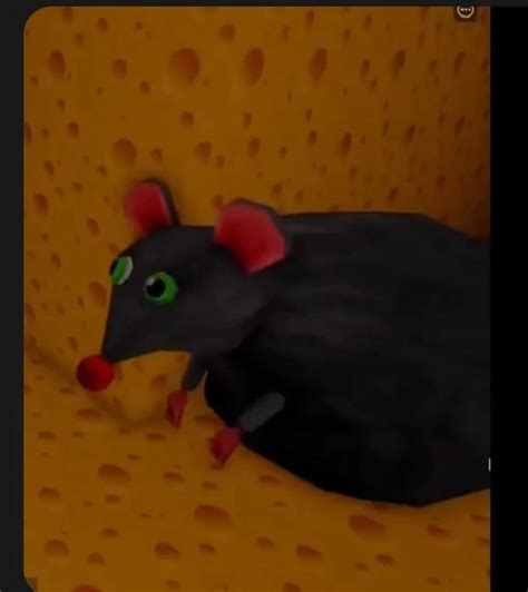 cheese escape rat drawing at martha ehrlich blog