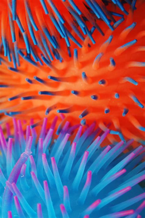 Dec0207 016 Khara Koffel Flickr