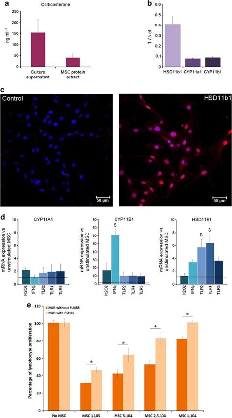Mesenchymal Stem Cell Therapy Induces Glucocorticoid Synthesis In Colonic Mucosa And Suppresses