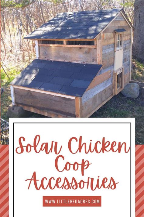 Solar Chicken Coop Accessories You Want For Your Chicken Coop