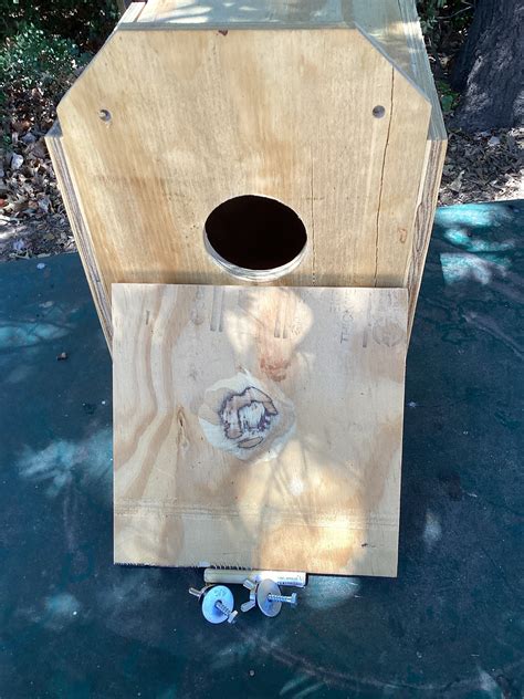 Cockatiel Nest Box Etsy