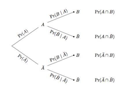 Lecture 11 Tree Diagrams Flashcards Quizlet Lecture 11 Tree Diagrams Flashcards Quizlet