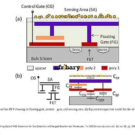 Nanocharge Dna Sensor Folded Floating Gate Cmos Biosensor Afribary