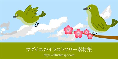 【まとめ】ウグイスのイラストフリー素材集｜イラストイメージ