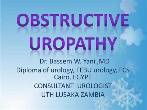 Pathophysioogy Of Urinary Tract Obstruction Bassem Presentation Ppt