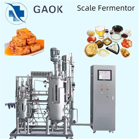 Industrial Bioreactor Nucleic Acid Bacteria Fermenter With Temperature