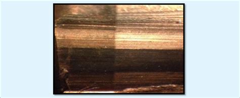 Showing Matching Of Striations On Test Bullet With Those On Jacket Of