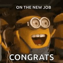 New Job Congratulations Meme New Job Congratulations Happy Discover