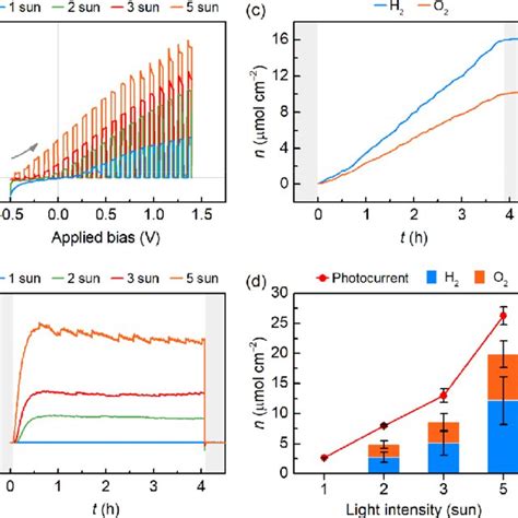 Erwin Reisner University Lecturer And Head Of Christian Doppler