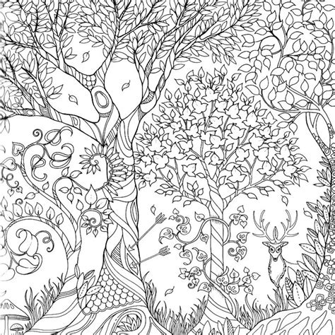 영어 에디션 매혹적인 숲 색칠하기 책 성인 어린이 안티 스트레스 그림 그리기 아트 색칠하기 책 24 페이지 책