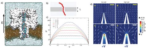 Computational Approaches A Sketch Of An All Atom Md Simulation Of A