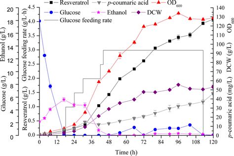 Fed Batch Fermentation In A 3 L Bioreactor Of The Non Auxotrophic