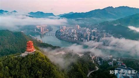 中国安康富硒茶·安康茶文化—— 茶诗与名人 知乎