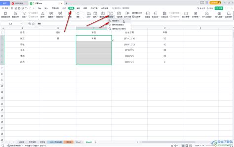Wps表格怎么添加下拉选项内容 Wps Excel添加下拉选项内容的方法教程 极光下载站