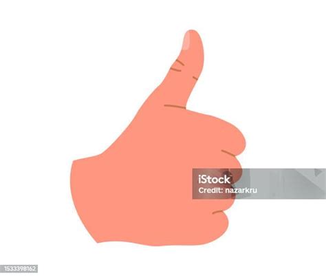 손 엄지손가락 또는 기호와 같은 벡터 그림 엄지손가락을 치켜세우는 손 제스처는 흰색 배경에 분리되어 있다 엄지손가락을 위로에