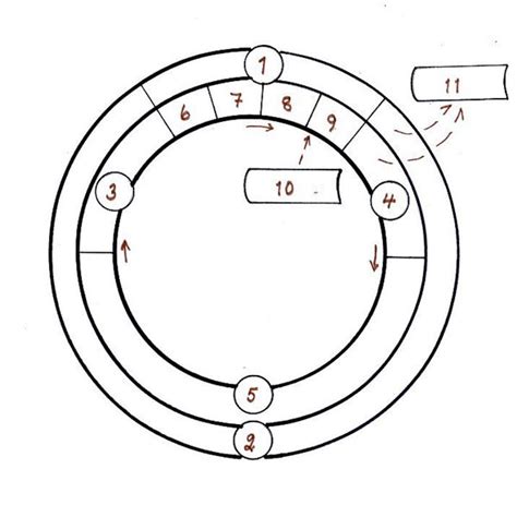 Cell Cycle Diagram Blank