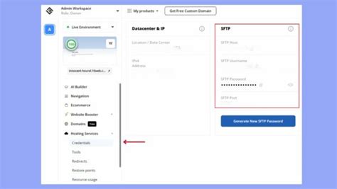 How To Export WordPress Site A Step By Step Guide