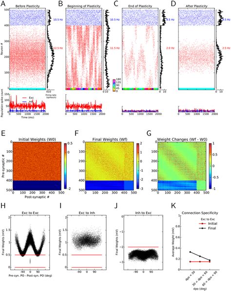 Emergence Of Feature Selectivity And Feature Specific Connectivity The Download Scientific