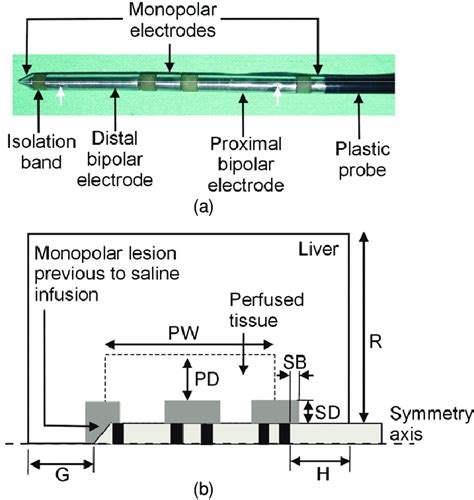 A Schematics Of The Considered Rf Applicator White Arrows Point To