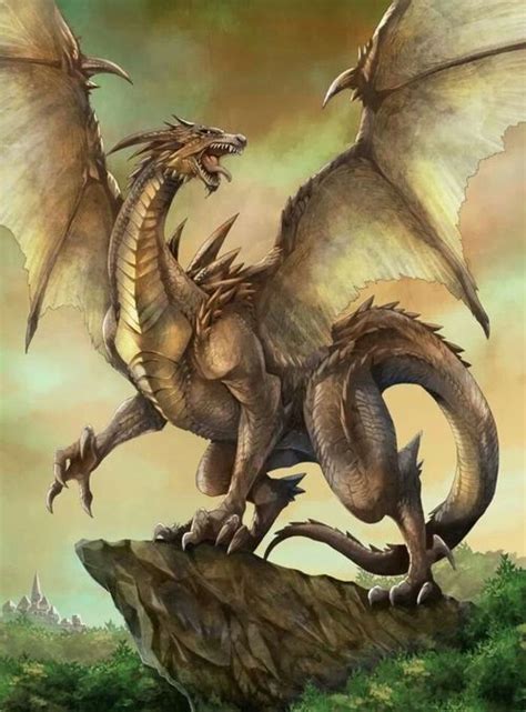 Brown Dragon Dragon Pictures Fantasy Dragon Dragon Artwork