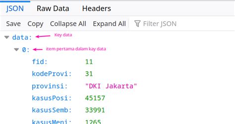 Belajar Python Cara Proses Data Json Dengan Python Dari File Dan Web Api