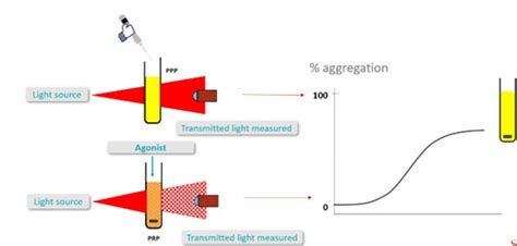 The Platelet Aggregation Line