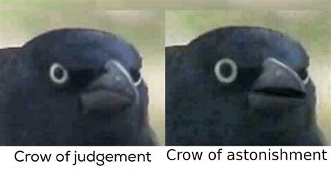 What Is The Crow Of Judgement The Classic Reaction Meme Explained