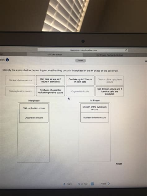 Solved Cell Sion 6 Classify The Events Below Depending On