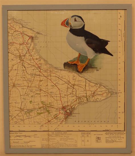 Puffin 1947 Map Frances Daunt