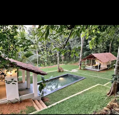 Pearl Grass At Rs 18square Feet In Ernakulam Id 2850339288091