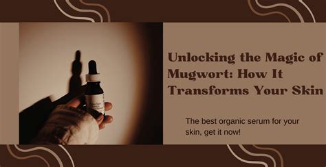 Unlocking The Magic Of Mugwort How It Transforms Your Skin Clinikally