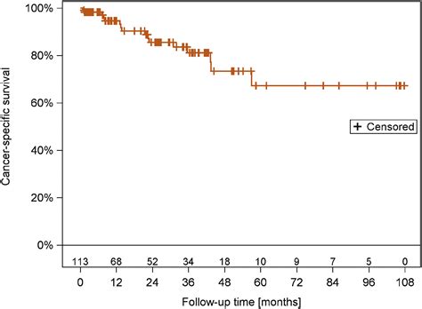 Robot Assisted Radical Cystectomy Description Of An Evolved Approach