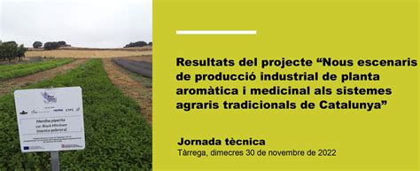 Jornada Resultats Grup Operatiu Pamincat Sobre Producció Industrial De Planta Aromàtica I