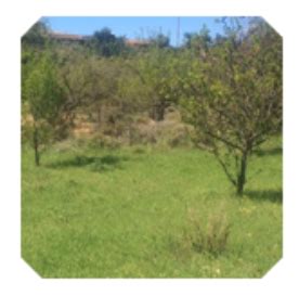 Css How To Make Image With Cut Corners Stack Overflow