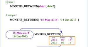Oracle Pl Sql Floor Function Examples Viewfloor Co