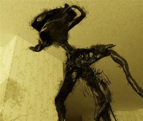 2 Lifeforms R Kanepixelsbackrooms
