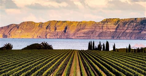 풍부한 일조량에 비옥한 땅 12번째 ‘세계 와인 수도 된 이곳