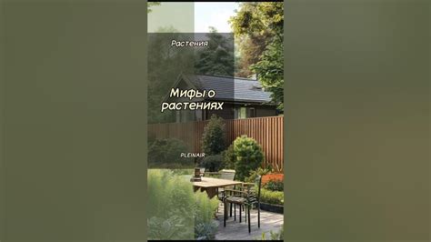 Растения которые ОКЛЕВЕТАЛИ сад дача ландшафтныйдизайн загородныйдом Youtube