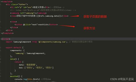 Vue：ref的作用和实例vue的ref Csdn博客
