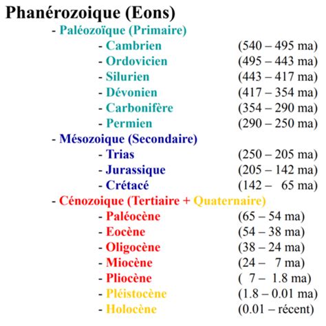 Evolution 7 Karteikarten Quizlet
