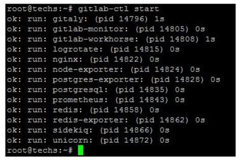 Install And Configure GitLab On Ubuntu 14 04 GitLab Installation Apache