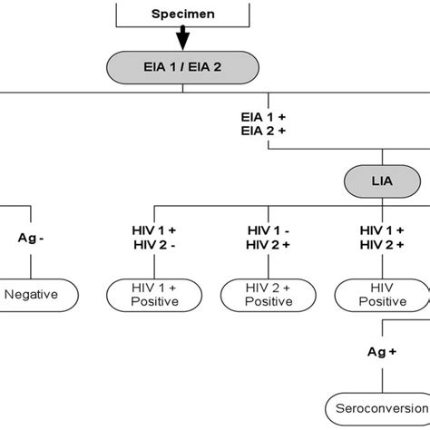 Hiv Testing Algorithm Used For Quality Control And Confirmation Eia 1