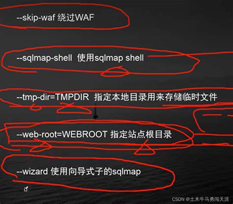 Sqlmap使用指南（2） Csdn博客