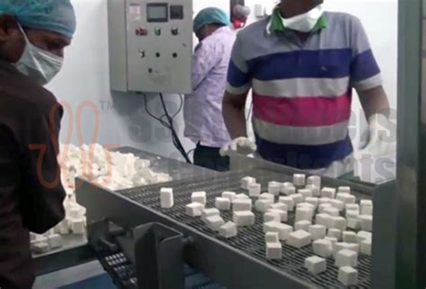 Paneer Processing Plant Paneer Production Plant Paneer Manufacturing Plant Manufacture Of