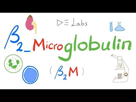 Free Video Beta 2 Microglobulin Level Serum And Urine From Medicosis Perfectionalis Class
