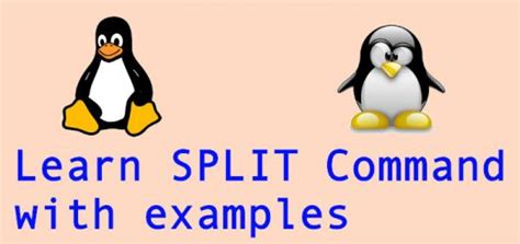 Learn Split Command With Examples Linuxtechlab