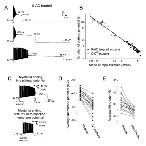 Characterization Of Plateau Potentials A Three Examples Of Plateau Download Scientific